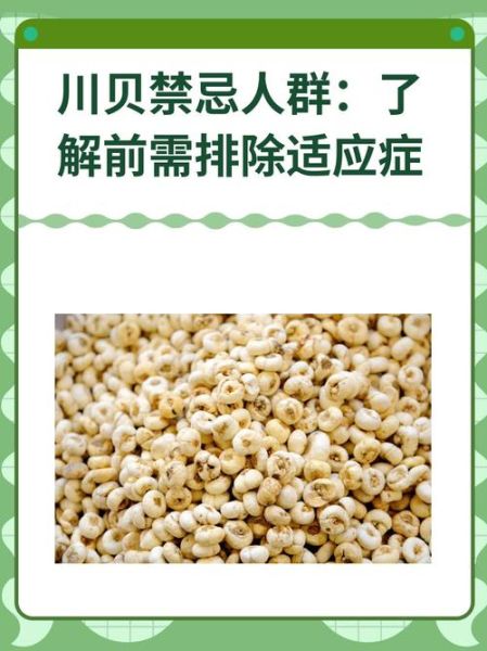 川贝的功效与作用_川贝的禁忌有哪些-第1张图片-山城妙识