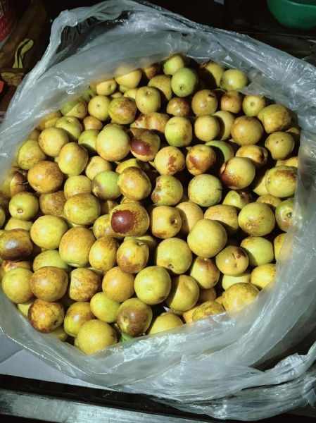 冬枣多少钱一斤_2024年最新价格行情-第3张图片-山城妙识