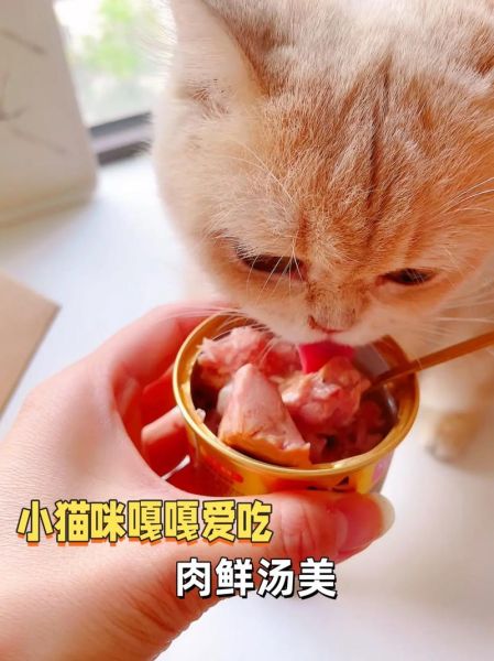 吞拿鱼怎么做好吃_吞拿鱼罐头健康吗-第2张图片-山城妙识