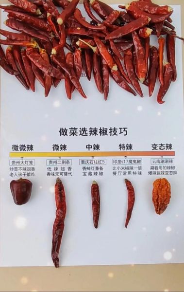 辣椒辣度排行榜_哪种辣椒最辣-第2张图片-山城妙识