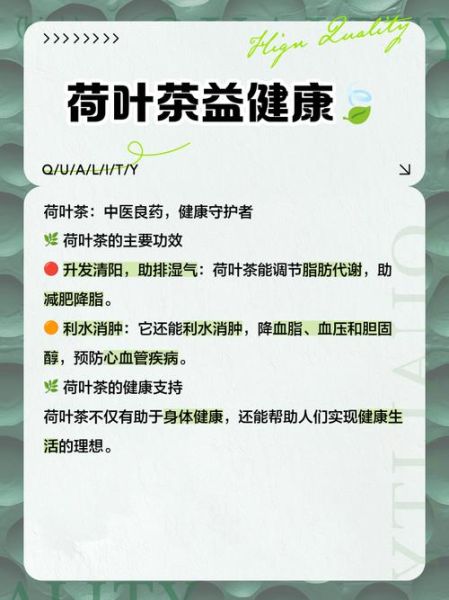 荷叶泡水能减肥吗_荷叶茶的功效与作用-第2张图片-山城妙识 荷叶泡水能减肥吗_荷叶茶的功效与作用-第2张图片-山城妙识