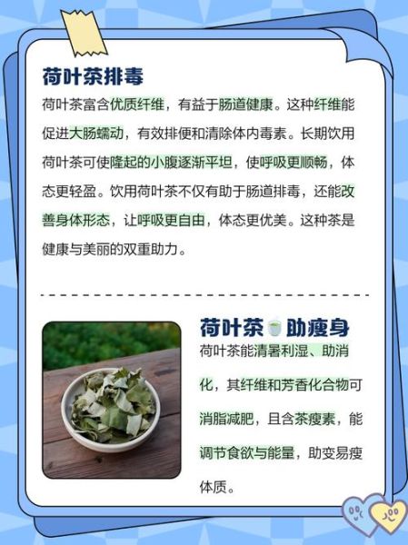 荷叶泡水能减肥吗_荷叶茶的功效与作用-第1张图片-山城妙识 荷叶泡水能减肥吗_荷叶茶的功效与作用-第1张图片-山城妙识