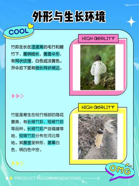 竹笙和竹荪的区别_竹笙和竹荪哪个更好-第1张图片-山城妙识