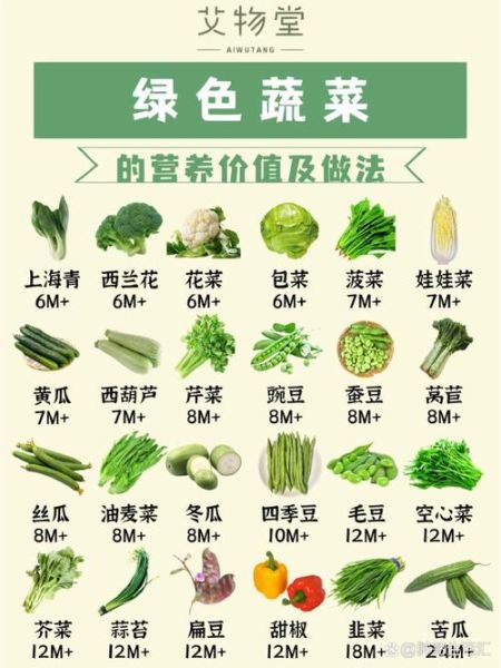 蔬菜的营养价值有哪些_蔬菜怎么吃最健康-第2张图片-山城妙识