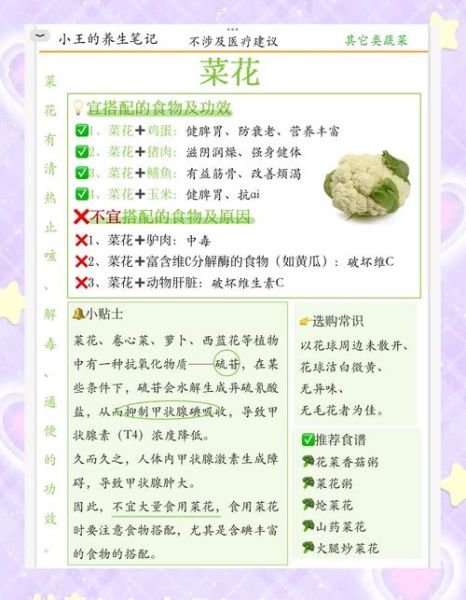 蔬菜的营养价值有哪些_蔬菜怎么吃最健康-第3张图片-山城妙识