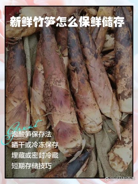 鲜竹笋怎么保存时间长_鲜竹笋能放冰箱多久-第1张图片-山城妙识