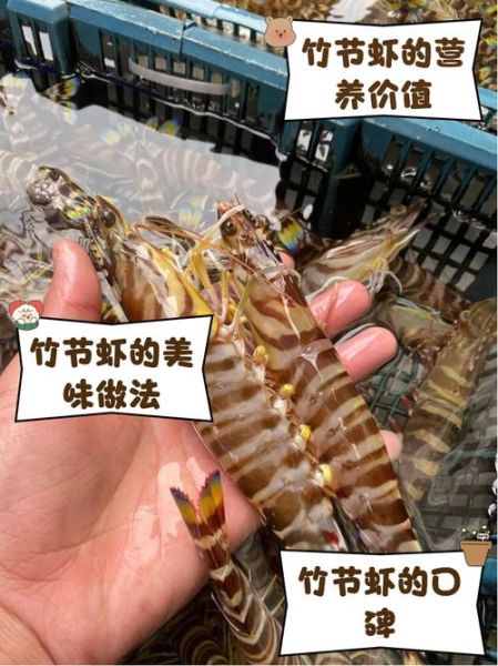 竹节虾是河虾还是海虾_竹节虾产地与口感区别-第2张图片-山城妙识