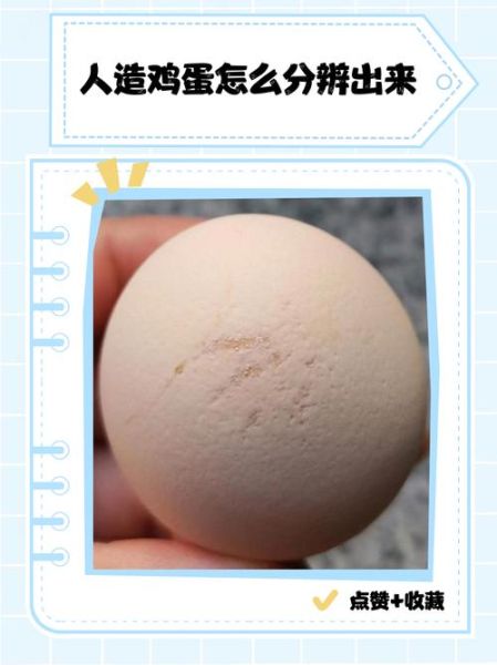 人造鸡蛋多少钱一斤_人造鸡蛋和真鸡蛋价格差多少-第3张图片-山城妙识