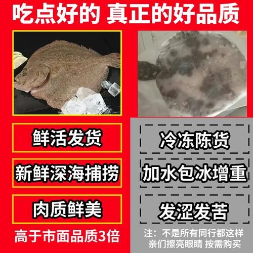 鸦片鱼市场价多少一斤_鸦片鱼多少钱一斤-第2张图片-山城妙识 鸦片鱼市场价多少一斤_鸦片鱼多少钱一斤-第2张图片-山城妙识