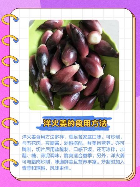 洋火姜的功效与作用_洋火姜怎么吃效果最好-第2张图片-山城妙识