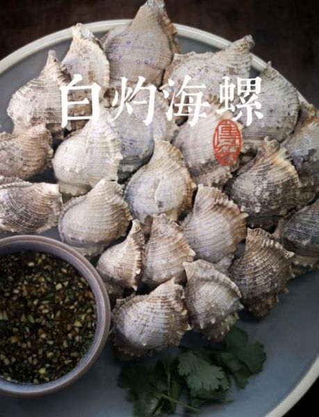 海螺煮多久能熟_海螺开锅后几分钟可以吃-第3张图片-山城妙识 海螺煮多久能熟_海螺开锅后几分钟可以吃-第3张图片-山城妙识