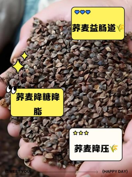 荞麦的功效与作用禁忌症_荞麦怎么吃不上火-第2张图片-山城妙识 荞麦的功效与作用禁忌症_荞麦怎么吃不上火-第2张图片-山城妙识