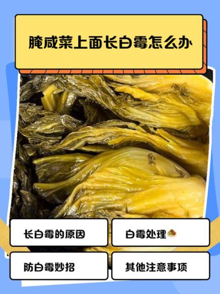 腌制咸菜的危害_长期吃会致癌吗-第3张图片-山城妙识