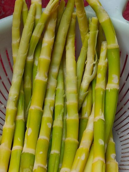 芦笋需要去皮吗_芦笋去皮技巧-第1张图片-山城妙识 芦笋需要去皮吗_芦笋去皮技巧-第1张图片-山城妙识