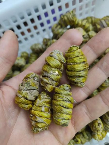 铁皮枫斗多少钱一斤_铁皮枫斗价格为什么这么贵-第1张图片-山城妙识 铁皮枫斗多少钱一斤_铁皮枫斗价格为什么这么贵-第1张图片-山城妙识