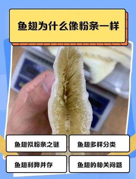 鱼翅长什么样子_鱼翅真假怎么辨别-第1张图片-山城妙识
