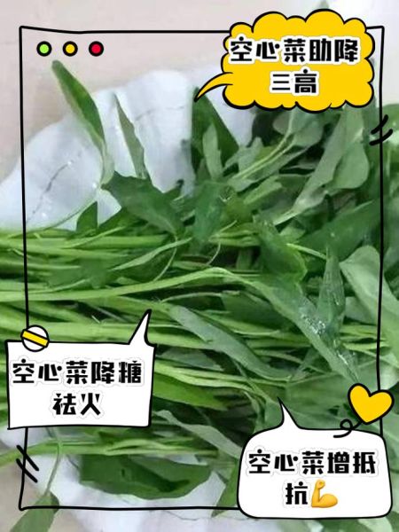 空心菜叶的功效与作用_空心菜叶可以生吃吗-第1张图片-山城妙识 空心菜叶的功效与作用_空心菜叶可以生吃吗-第1张图片-山城妙识