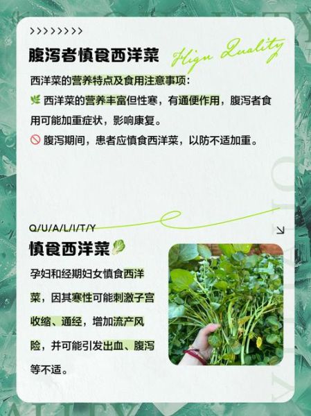西洋菜的功效与禁忌_什么人不能吃西洋菜-第2张图片-山城妙识