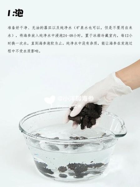 保温杯泡发海参的正确方法_海参泡发多久才软-第2张图片-山城妙识