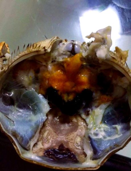 母螃蟹里面黑黑的浆糊是什么_能不能吃-第2张图片-山城妙识 母螃蟹里面黑黑的浆糊是什么_能不能吃-第2张图片-山城妙识