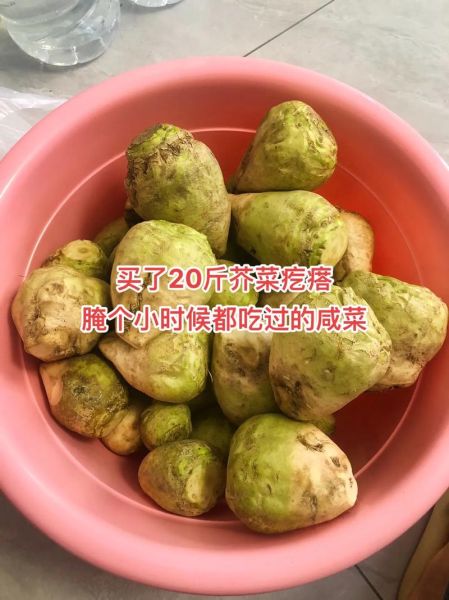 咸芥菜疙瘩怎么腌制_咸芥菜疙瘩的做法大全-第1张图片-山城妙识