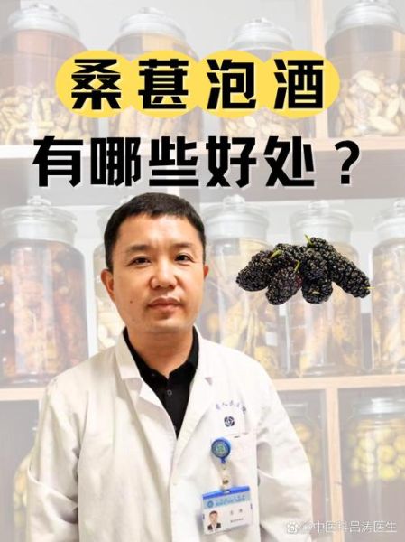 桑葚子泡酒的功效与作用_桑葚子泡酒怎么泡才正确-第1张图片-山城妙识