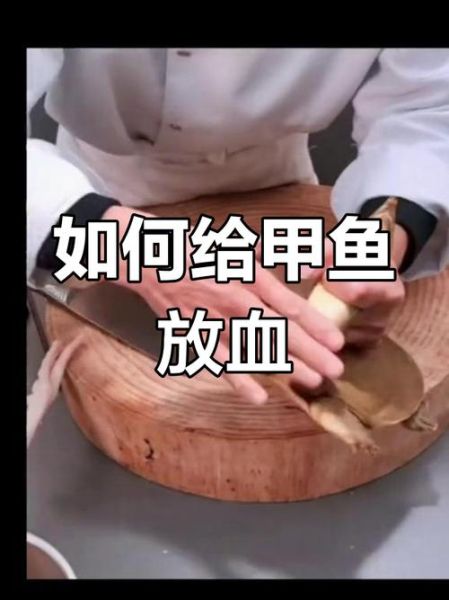 甲鱼血怎么吃才安全_甲鱼血正确吃法-第3张图片-山城妙识 甲鱼血怎么吃才安全_甲鱼血正确吃法-第3张图片-山城妙识