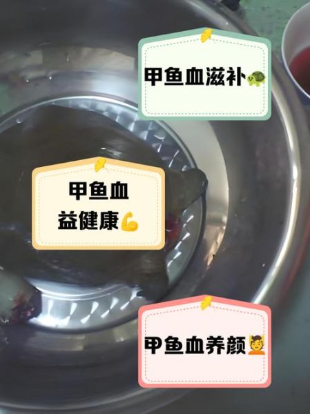 甲鱼血怎么吃才安全_甲鱼血正确吃法-第2张图片-山城妙识 甲鱼血怎么吃才安全_甲鱼血正确吃法-第2张图片-山城妙识