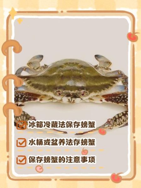 大闸蟹冰箱保存方法_能活几天-第2张图片-山城妙识 大闸蟹冰箱保存方法_能活几天-第2张图片-山城妙识