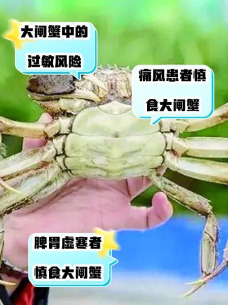 大闸蟹什么人不能吃_孕妇痛风患者能吃吗-第2张图片-山城妙识