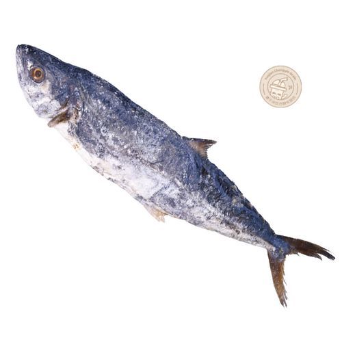 臭鱼怎么腌制_臭鱼腌制方法-第1张图片-山城妙识 臭鱼怎么腌制_臭鱼腌制方法-第1张图片-山城妙识