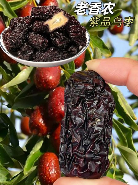 乌枣和黑枣的区别_哪个营养价值更高-第3张图片-山城妙识