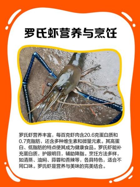 罗氏虾的危害有哪些_罗氏虾吃多了会怎样-第1张图片-山城妙识 罗氏虾的危害有哪些_罗氏虾吃多了会怎样-第1张图片-山城妙识