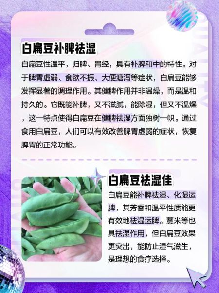 白扁豆的功效与作用_白扁豆的禁忌有哪些-第2张图片-山城妙识