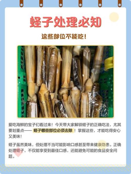 蛏子哪个部位不能吃_蛏子内脏怎么清理-第1张图片-山城妙识