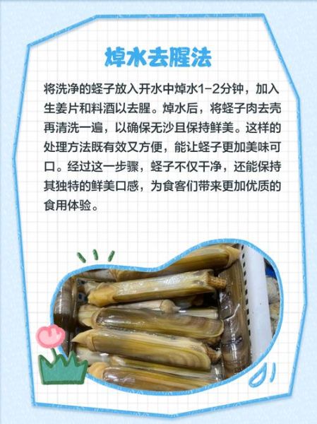 蛏子哪个部位不能吃_蛏子内脏怎么清理-第3张图片-山城妙识