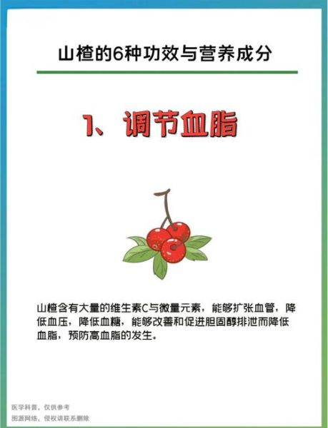 山楂的功效与作用_山楂的禁忌人群-第2张图片-山城妙识 山楂的功效与作用_山楂的禁忌人群-第2张图片-山城妙识