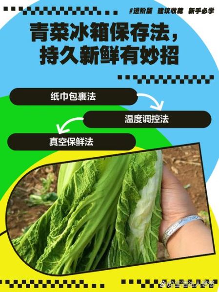 青菜怎么保存时间长_青菜变黄还能吃吗-第1张图片-山城妙识 青菜怎么保存时间长_青菜变黄还能吃吗-第1张图片-山城妙识
