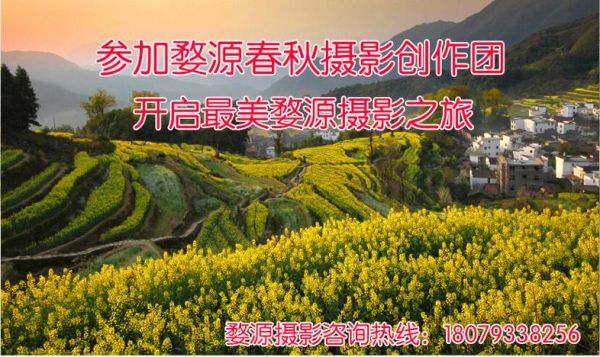 江西婺源油菜花什么时候开_最佳观赏期是几月-第2张图片-山城妙识