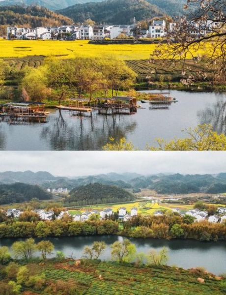 江西婺源油菜花什么时候开_最佳观赏期是几月-第3张图片-山城妙识