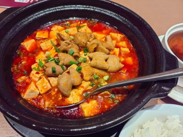 大肠炖豆腐怎么做_大肠炖豆腐的家常做法-第1张图片-山城妙识