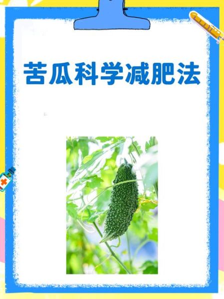苦瓜可以减肥吗_苦瓜减肥怎么吃效果最好-第1张图片-山城妙识