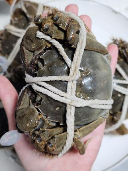 阳澄湖的大闸蟹多少钱一斤_正宗阳澄湖蟹价格表-第2张图片-山城妙识 阳澄湖的大闸蟹多少钱一斤_正宗阳澄湖蟹价格表-第2张图片-山城妙识