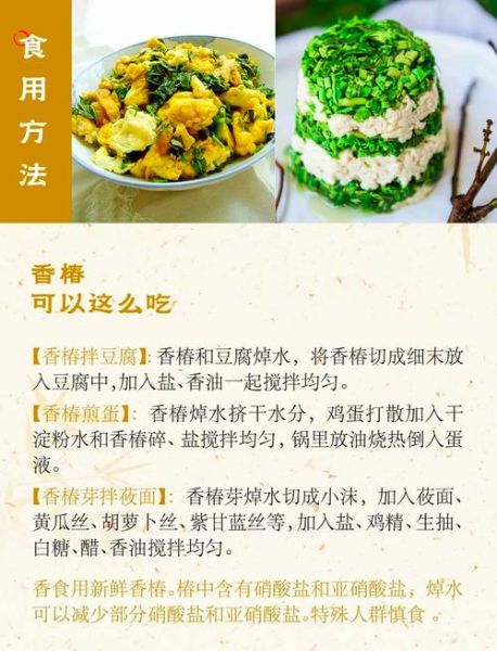 香椿根的功效与作用_香椿根能治什么病-第1张图片-山城妙识