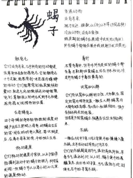 蝎子怎么养_新手养蝎子常见问题-第2张图片-山城妙识