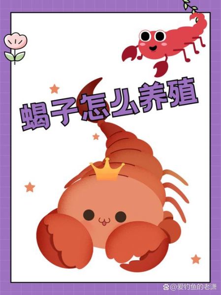 蝎子怎么养_新手养蝎子常见问题-第3张图片-山城妙识