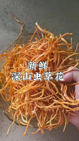 金虫草花有什么功效_金虫草花怎么吃好-第1张图片-山城妙识 金虫草花有什么功效_金虫草花怎么吃好-第1张图片-山城妙识