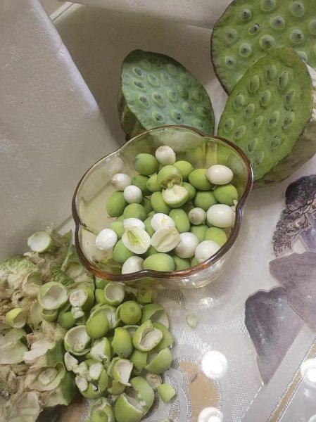 莲蓬怎么吃_莲蓬可以生吃吗-第2张图片-山城妙识