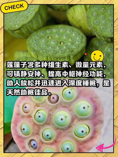 莲蓬怎么吃_莲蓬可以生吃吗-第1张图片-山城妙识