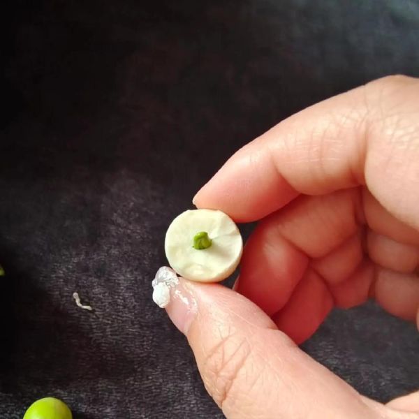 莲蓬怎么吃_莲蓬可以生吃吗-第3张图片-山城妙识